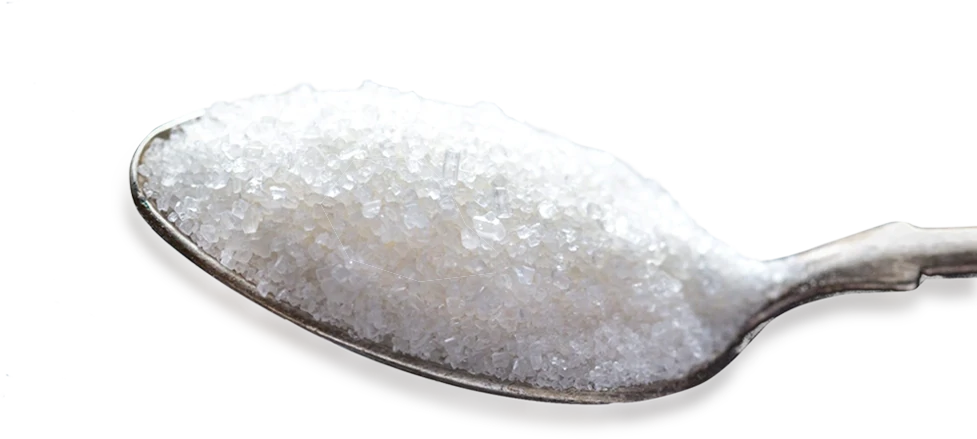 Solid Sodium Chlorite Powder - Huiya Envirotech